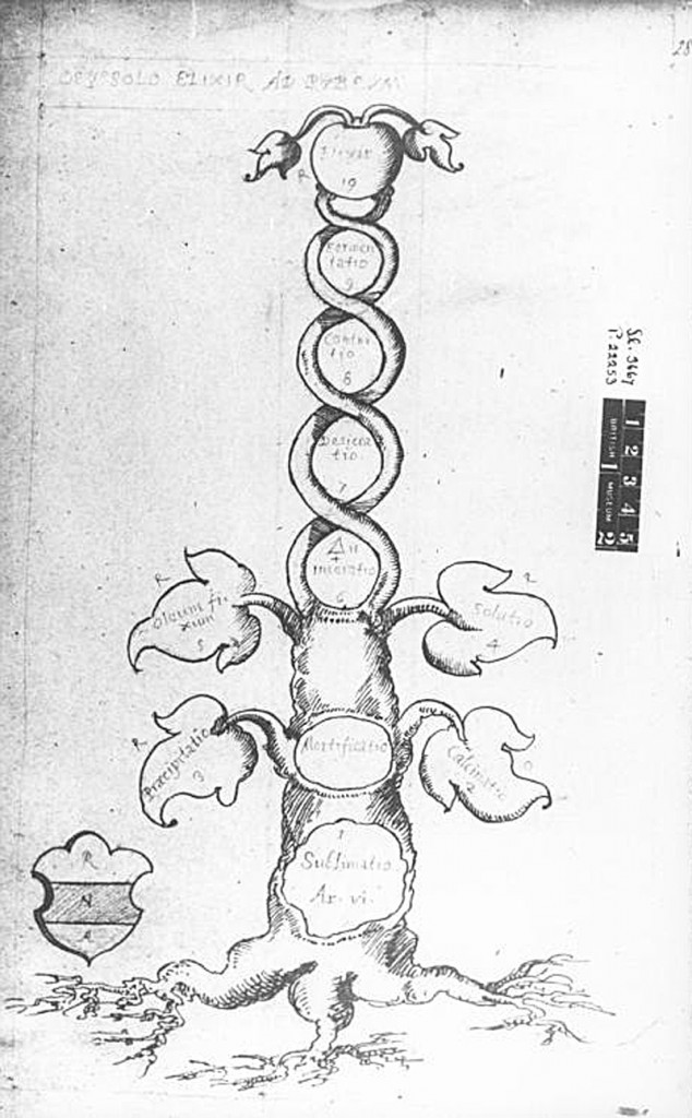 Symbols & Mythology Archives - SOLAR LUNAR